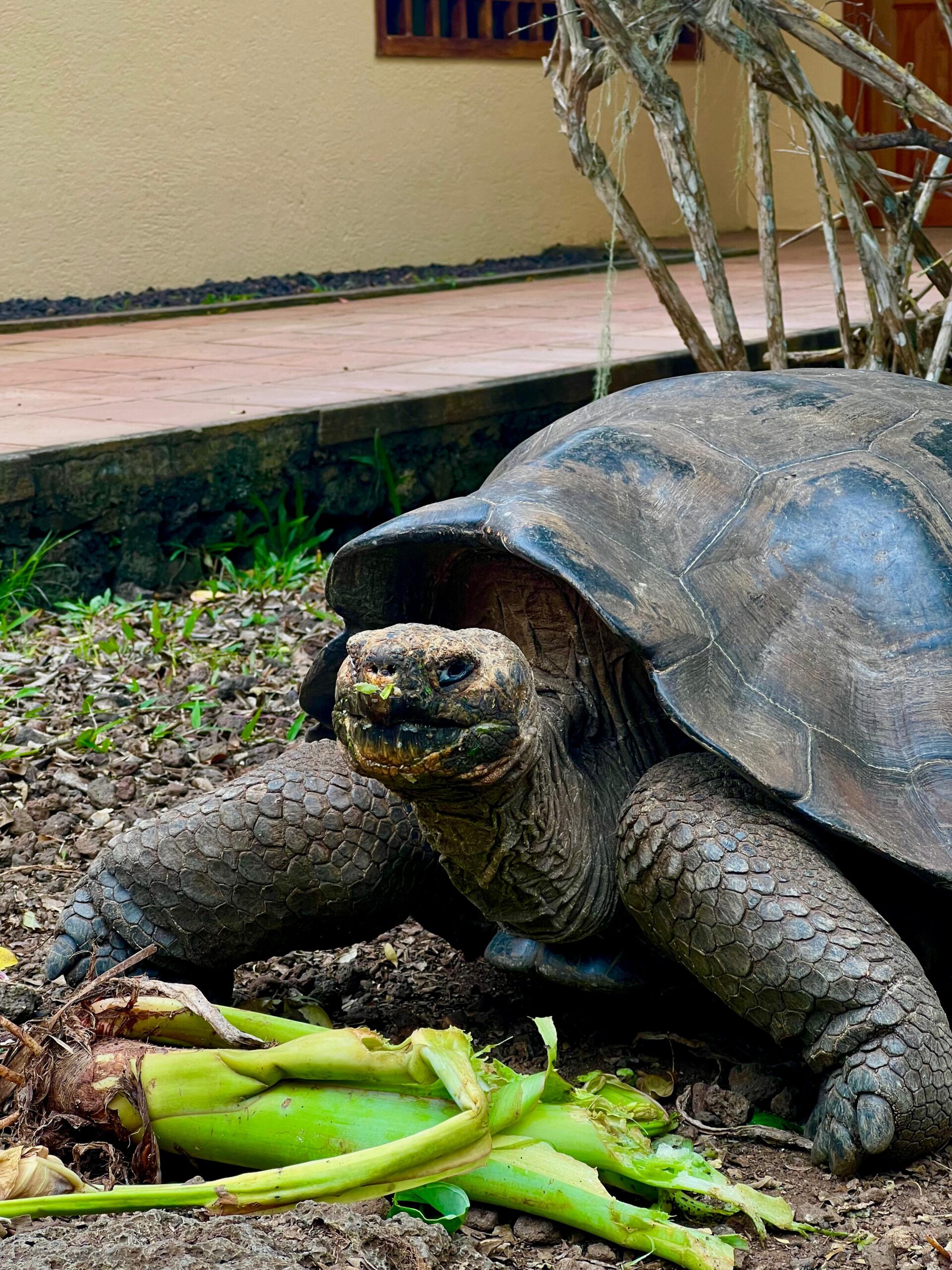 Tour Parte Alta | Galapagos Eco Fishing